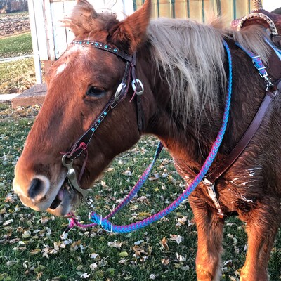 Custom Wither Strap and Adjustable Riding Reins Set - Etsy