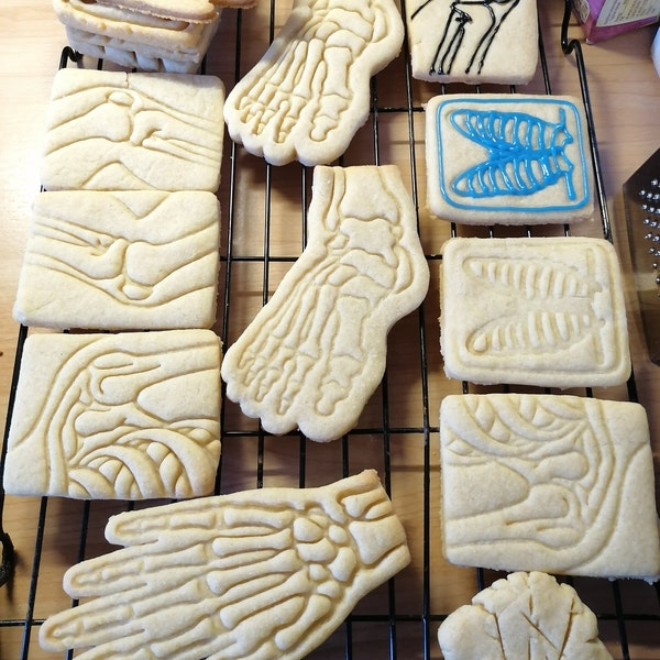 Anatomical Human Foot Cookie Cutter | Biscuit Cutters Gifts Medical ...