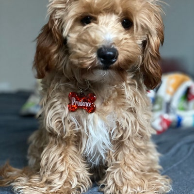 Sparkle Dog Tags Glitter Pet Tag - Etsy