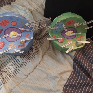 CELL PAPERCRAFT, Printable Animal Plant Cell, Education Papercraft, Diy ...