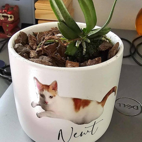 Custom Planter, Personalized Planter, Succulent Planter, Personalized ...