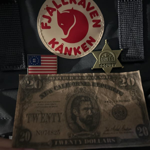 Fallout Inspired Gamer Cosplay Flags - Etsy