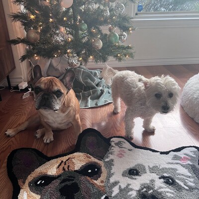 Garfield Custom Tufted Rug / 100% Handmade Rug/tufted Rug - Etsy