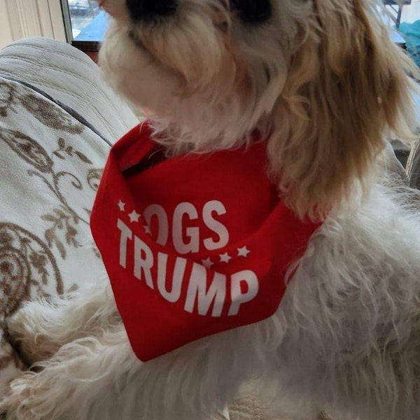 You’ve Been Boozed Wine Tote, Halloween Booze Gift Bags, Favor Treat ...