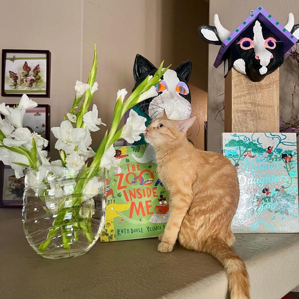 Songs for Our Sons — Hardback — Signed by the Author - Etsy