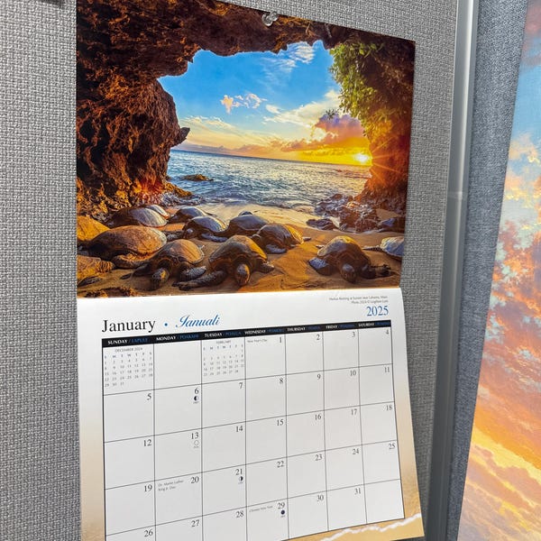 Aloha Tropical Leaf Picture Frame 5x7 | School Year, Wedding Frame for ...