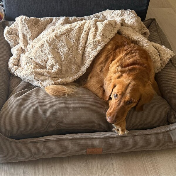 Emerald Green Dog Cave Bed, Warm Covered Dog Bed, Whippet Bed, Cave Pet ...
