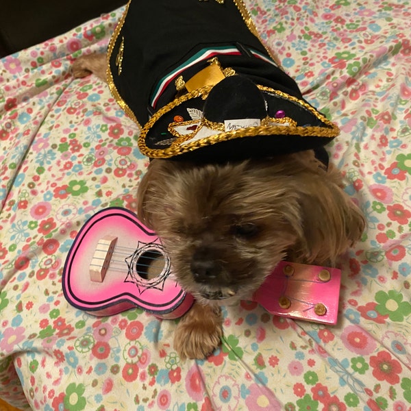 Mariachi Dog Costume/ Mariachi Outfit for Dogs/ Mexican Dog Costume ...