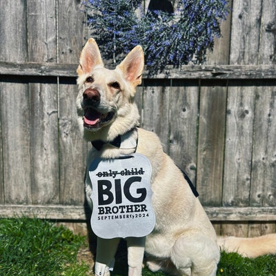 Sploot Definition Tattoo Inspired Wall Art Dog Lovers Print Bold Black ...