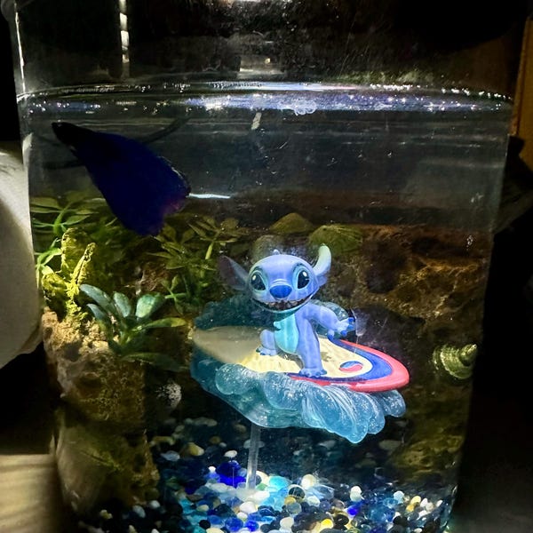 Moana Fish Decor - Etsy