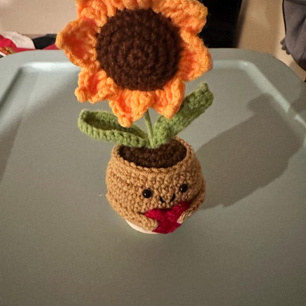 Funny Crochet Chill Pills-emotional Support Pill-chill Pill Fidget ...