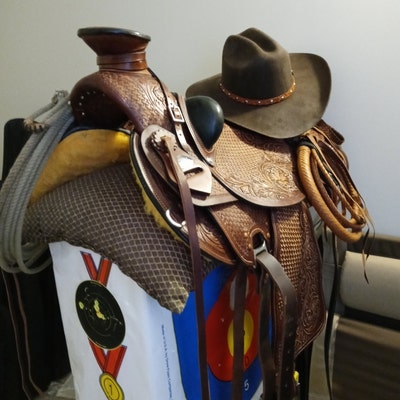 Western Barrel Rodeo Show Horse Tack Rawhide Silver Show - Etsy