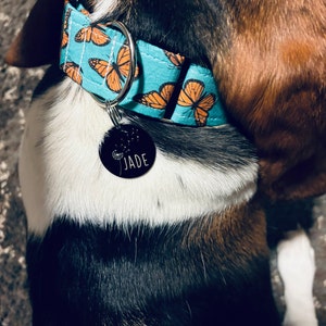 Orange and White Checkered Dog Collar, Martingale or Flat Collar, Dog ...