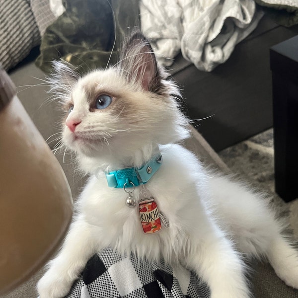 Narutomaki Keychain, Japanese Fish Cake Keychain, Small Acrylic Charm ...