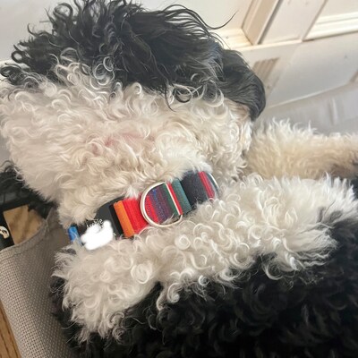 DIY Half Check Chain Martingale Tutorial Instructions - Etsy