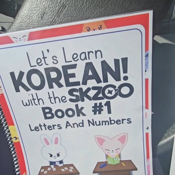Stray Kids SKZOO Learn Korean Digital Workbook #1: Letters and Numbers ...