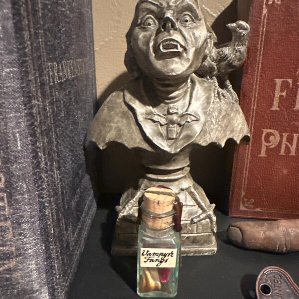 No. 10 LARGE Alchemist Kit Witchcraft Kit Curiosity Collection Vintage ...