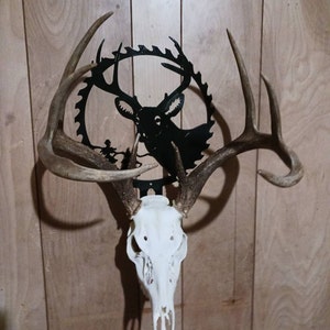 Bull Cow Steer Skull Mount Hanger the Eurohanger Skull Not Included ...