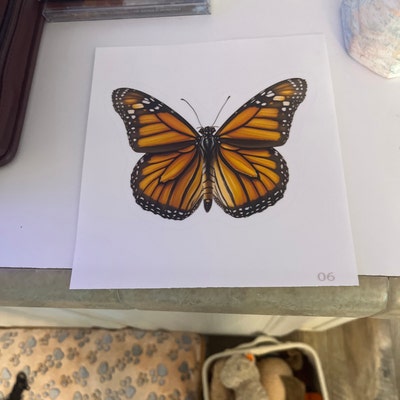 Medusa Sticker, Medusa Snake Sticker, Snake Sticker, Mythical Decal ...