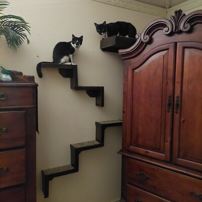 Floating Cat Stairs Floating Cat Bed Cat Perch Cat Furniture - Etsy