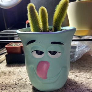Giant Watch Chain Princess Pine Live Potted Succulent in - Etsy