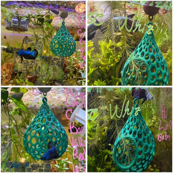 Floating Aquarium Fish Exercise Hoop, Star Shaped Betta Enrichment Ring ...