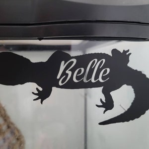 Customizable Name Green Tree Python Emerald Tree Boa Snake Vinyl Decal ...