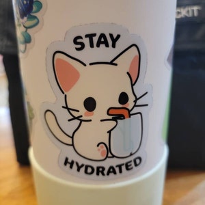 Stay Hydrated Matte Vinyl Sticker, Water Bottle Sticker, Car Decal ...