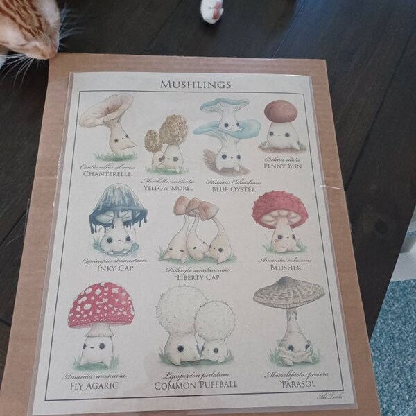 Mushling Identification Print - Mushroom Botanical Fine Art Giclée ...