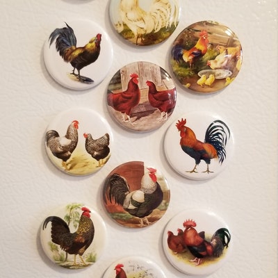 Chicken and Rooster Magnets Set of Six 1.5 Inch Magnets - Etsy