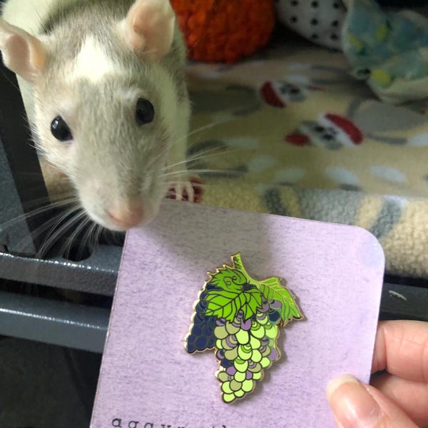Grape Enamel Pin - Etsy