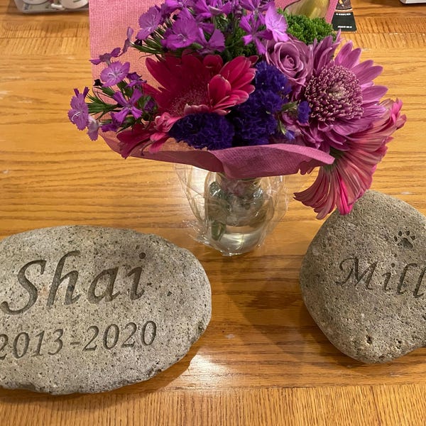 Custom Granite Standing Pet Memorial Stone 11x7.5x 2 - Free Shipping - Etsy