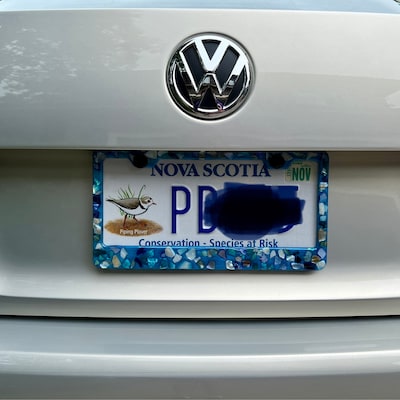 Epoxy Resin License Plate Framecustom License Plate Framered Stones ...