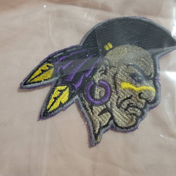 Mason Jar Solar Fairy Light Lantern Fun Animals Fox Racoon, Hedgehog ...