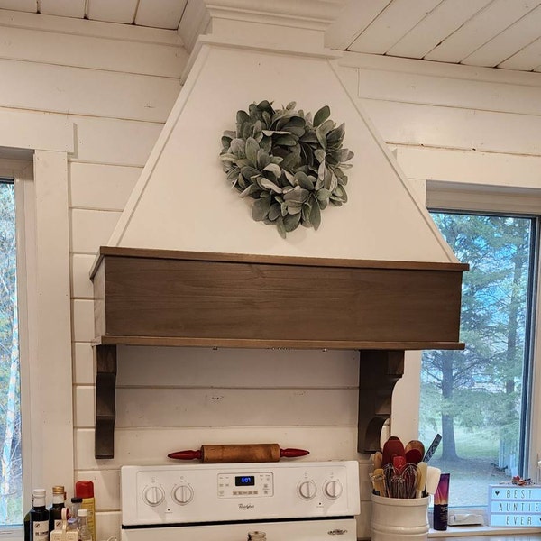 16" Light Pink Billy Buttons, Pink Dried Craspedia, Pink Billy Balls ...