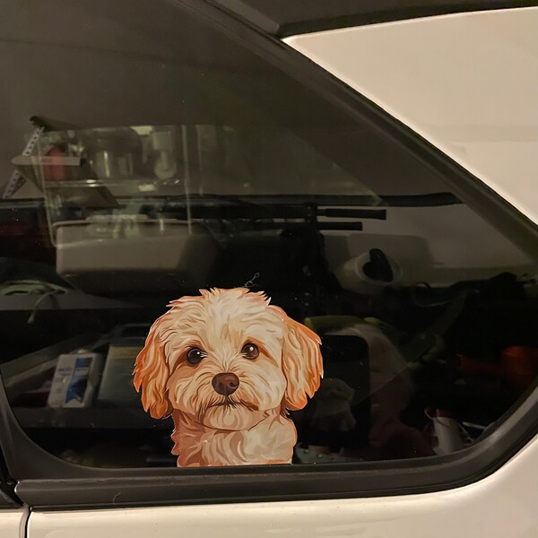 Maltipoo Sticker, Weatherproof Vinyl Decal - Etsy
