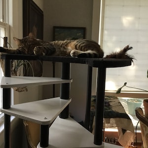 Cat Tree 9 Step Spiral Cat Ladder Cat Stairs With Cat Perch - Etsy