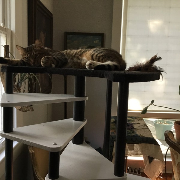 Cat Tree, 12 Step Spiral Cat Furniture, Best Cat Stairs (2023), Cat ...