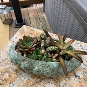 Premium Large Shallow Succulent Planter Pot, Ceramic With Decorative ...