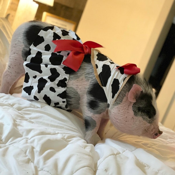 Moo! Skirt & Scarf Set, Pig Clothes, Mini Pig - Etsy