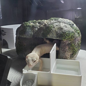 3.0 Geckopia Triple Dish Leopard Gecko Dish Reptile Dish Gecko Dish ...