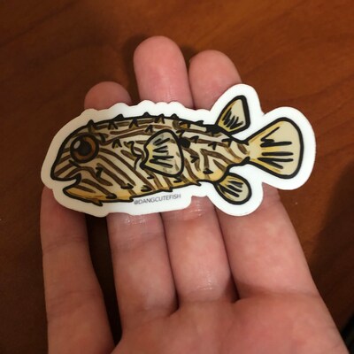 Matte Coated Vinyl Stickers 1 Zebra Moray Eel Great Gift - Etsy