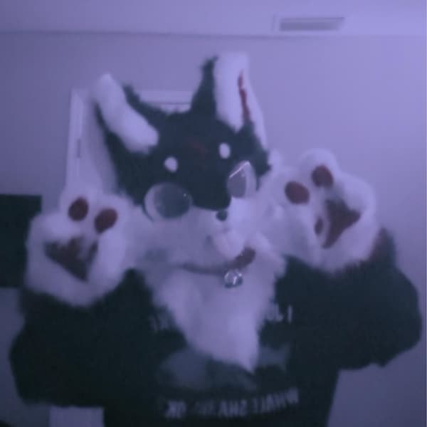 New Design Fursona Head Piece, Fursuit Furry Unique, Cosplay, Kemono ...