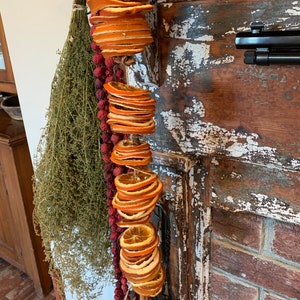 Silver Hero Platinum US Seller Rare Scindapsus Pictus Pothos Plant ...