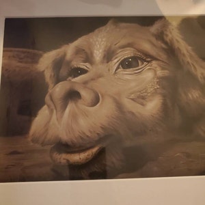 Limited Print of My Drawing of Harry Bigfoot From Harry and | Etsy