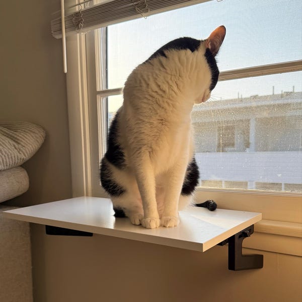 Windowsill Shelf Extender | Clever Cat Bed: - No Screws, Easy Mounting ...