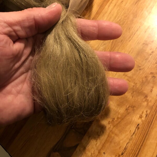 Indigofera Suffruticosa Seed Blue Guatamalan Indigo, Anil Natural Dye ...