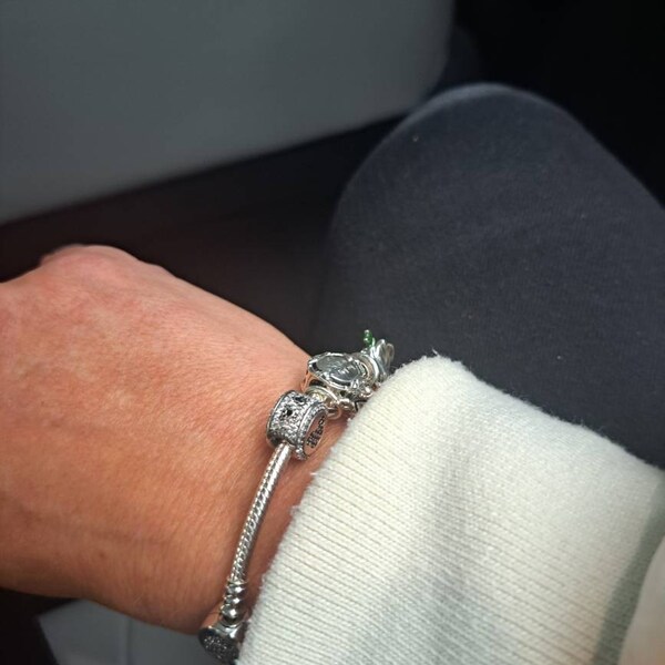 Charms for Pandora Bracelet Charms, Sterling Silver Charm for Moments ...