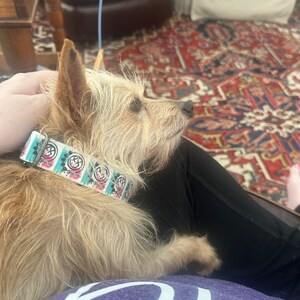 Fallout Themed Dog Collar - Etsy