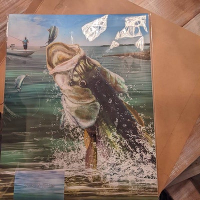 Snook Art Print Day Gift for Snook Fisherman. A Florida Snook Stalks a ...